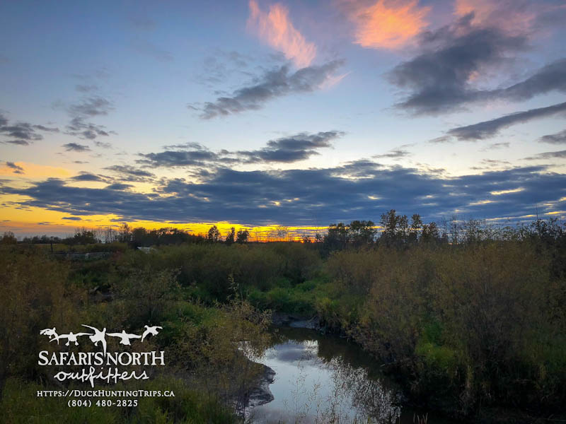 Saskatchewan Hunting Seasons Guide | Safaris North Outfitters