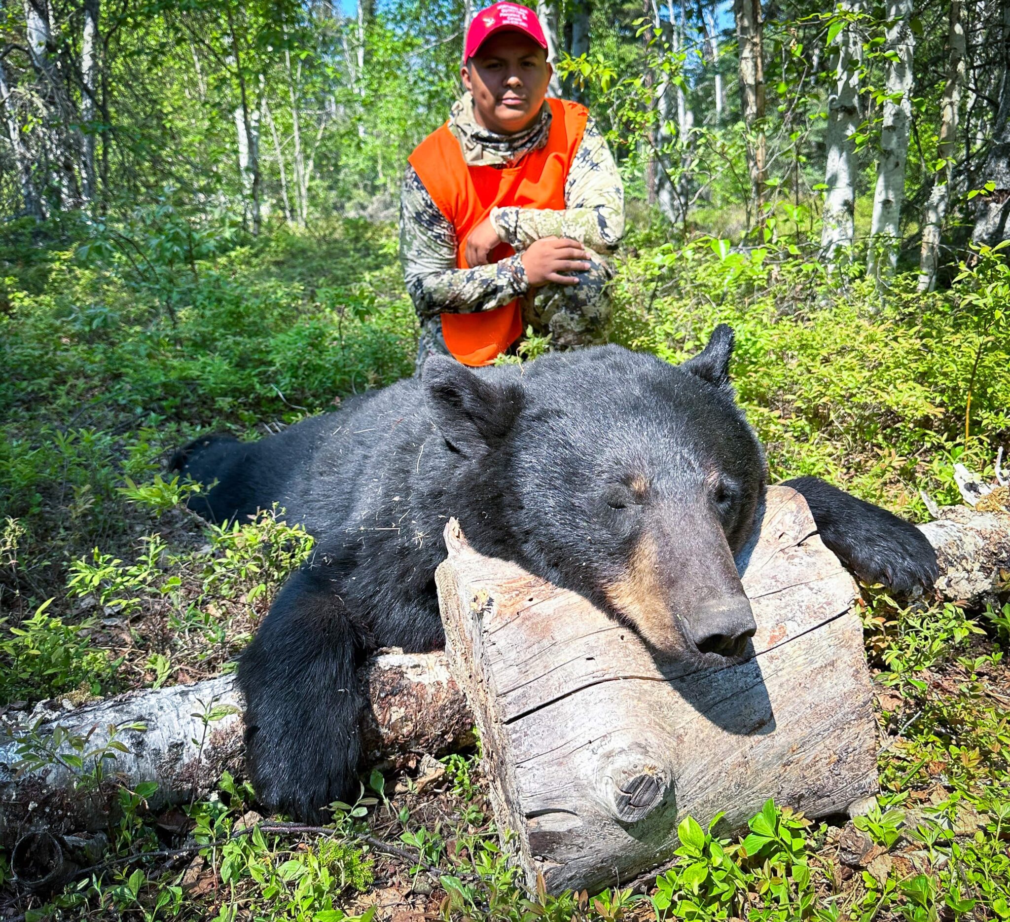 Saskatchewan Black Bear Hunting | Trophy Bears with Safaris North